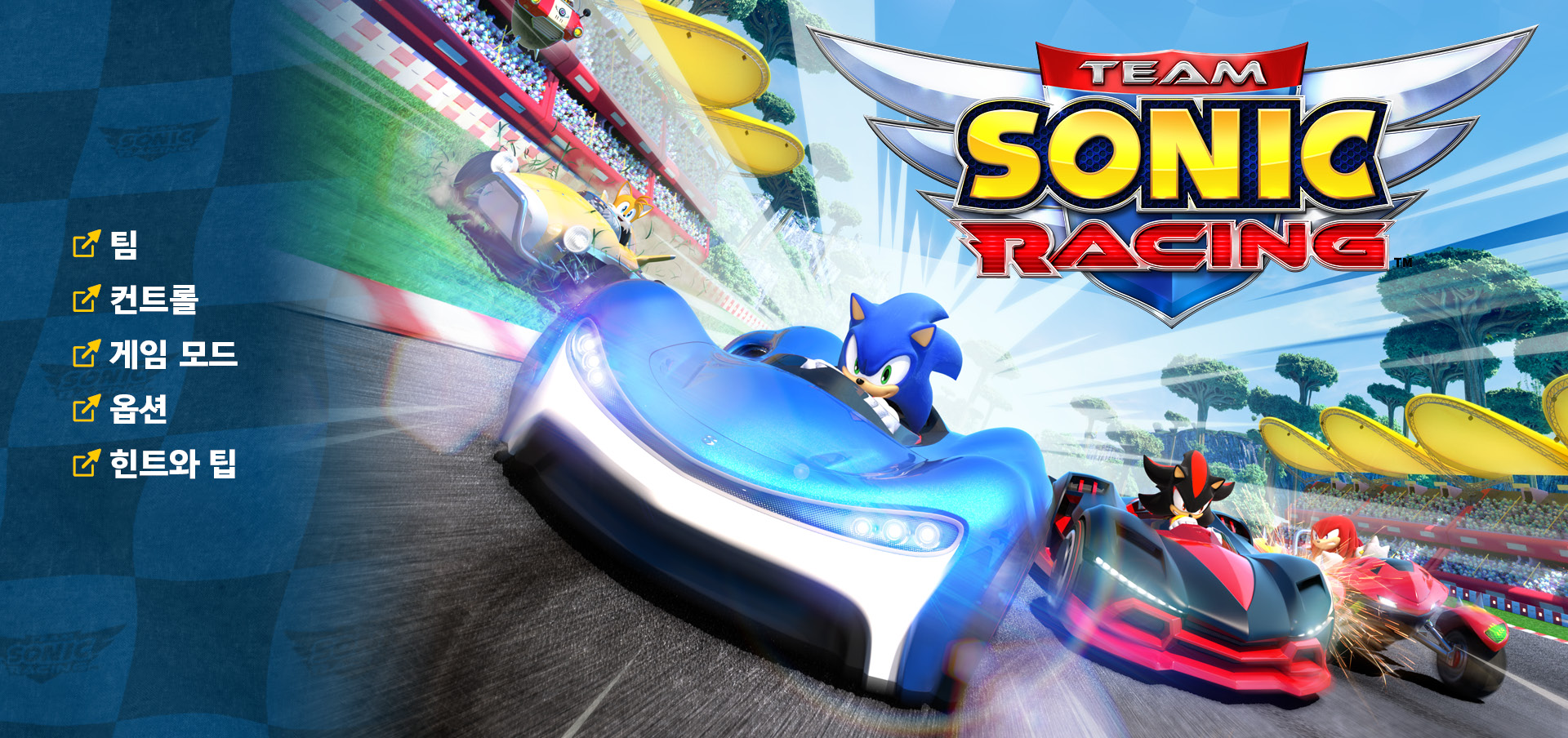 Team Sonic Racing 웹 매뉴얼